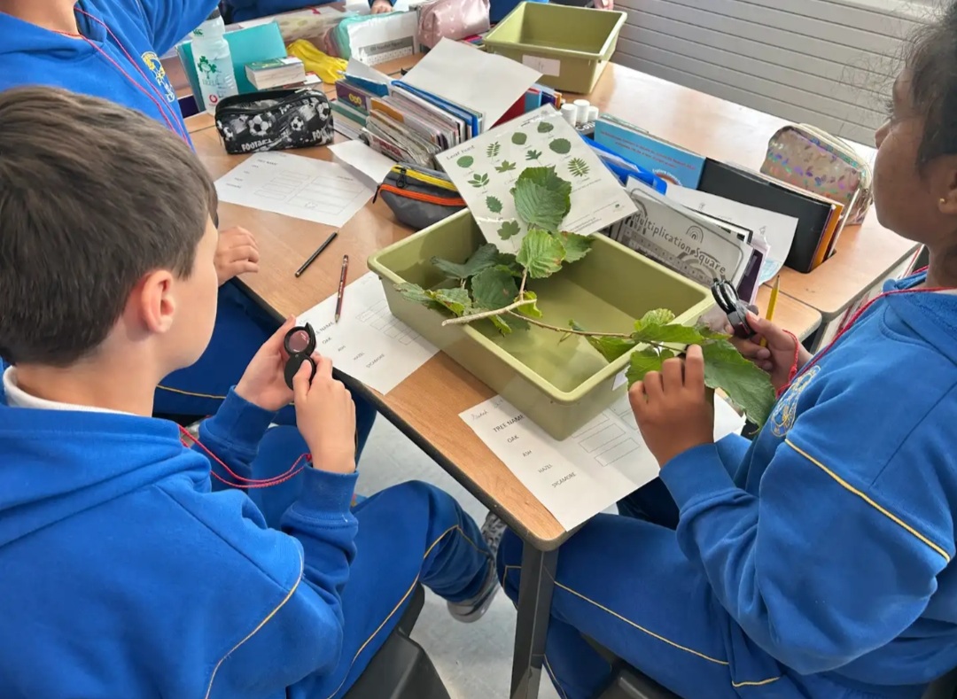 Green Schools - CBS Primary School Ennis