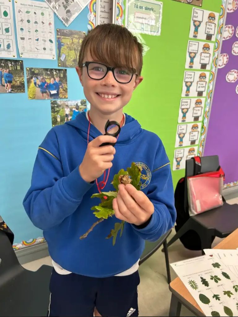 Green Schools - CBS Primary School Ennis