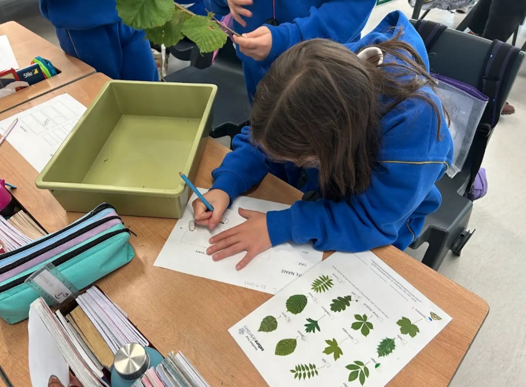 Green Schools - CBS Primary School Ennis