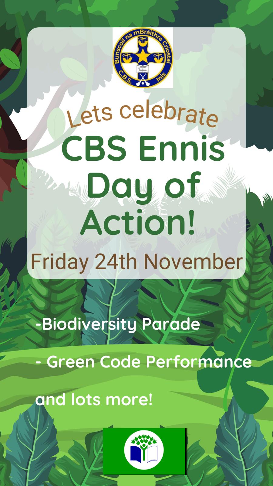 Green Schools - CBS Primary School Ennis