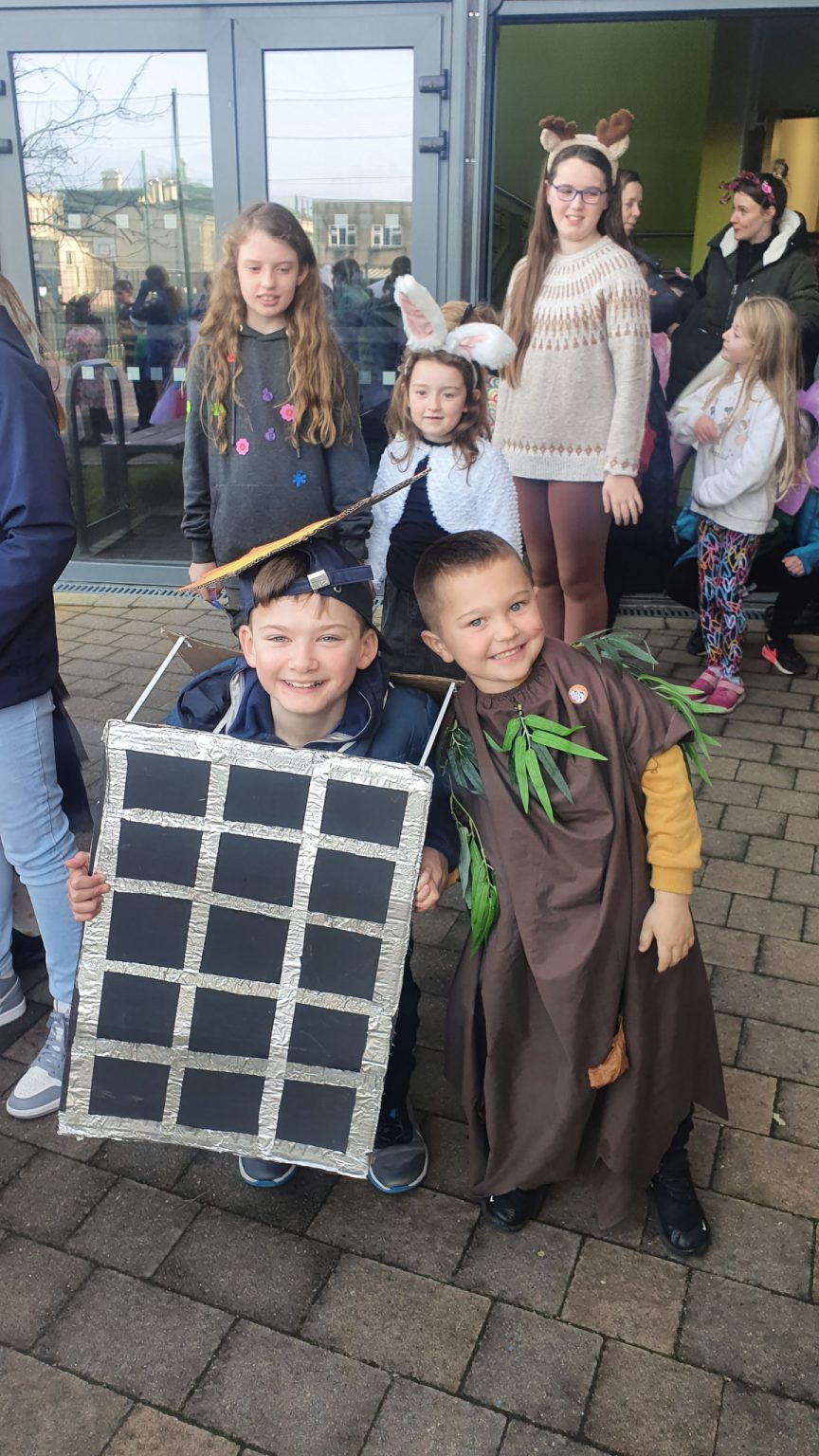 Green Schools - CBS Primary School Ennis