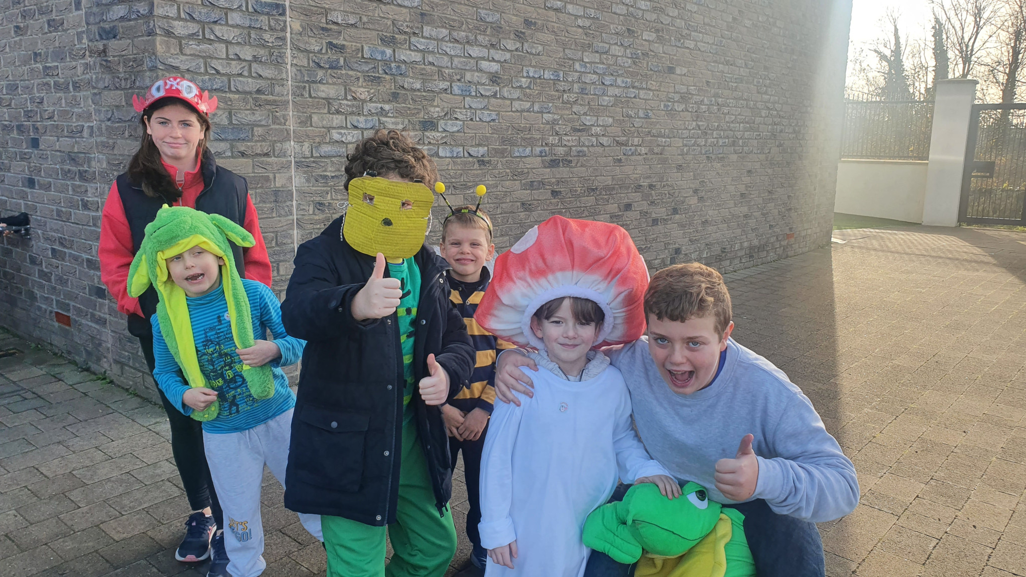 Green Schools - CBS Primary School Ennis