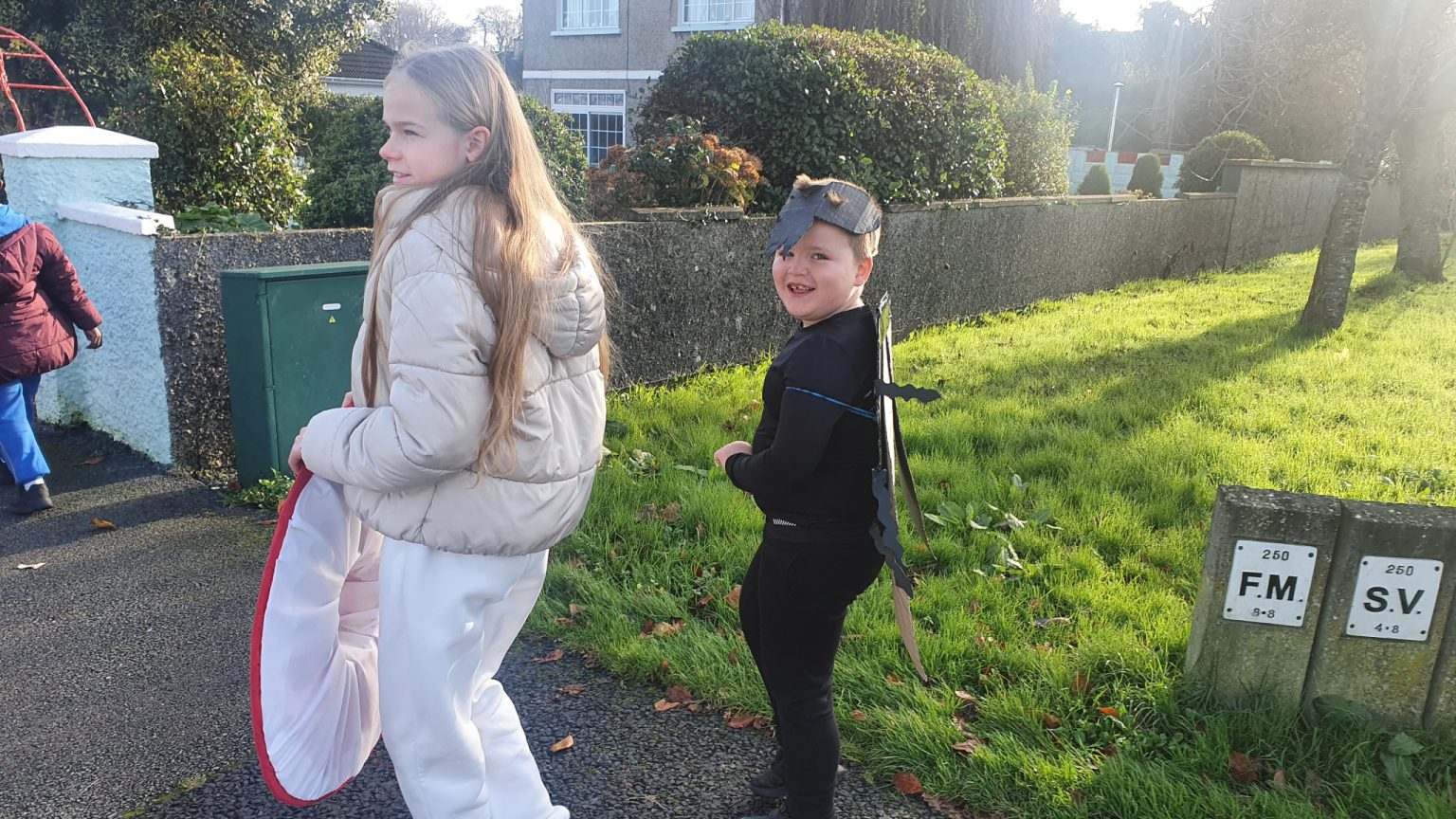 Green Schools - CBS Primary School Ennis