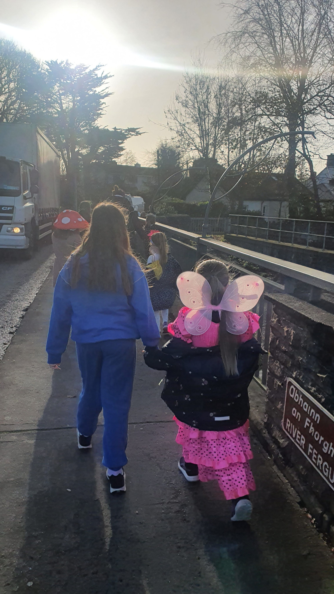 Green Schools - CBS Primary School Ennis