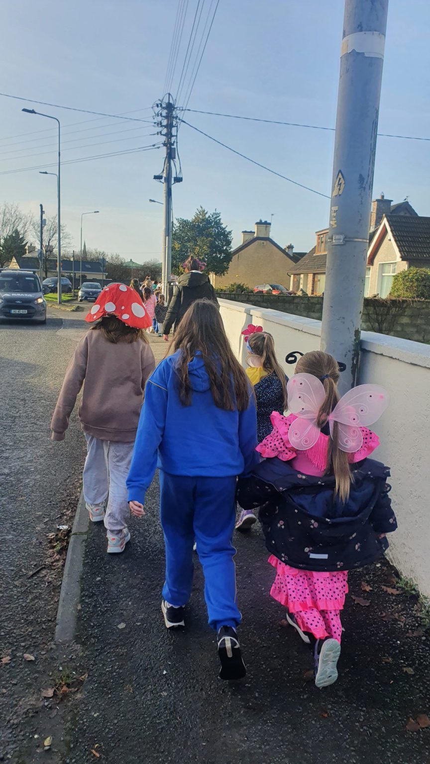 Green Schools - CBS Primary School Ennis
