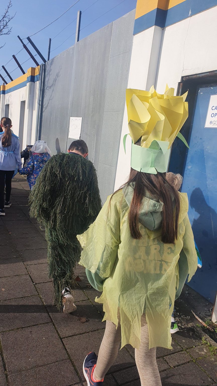 Green Schools - CBS Primary School Ennis
