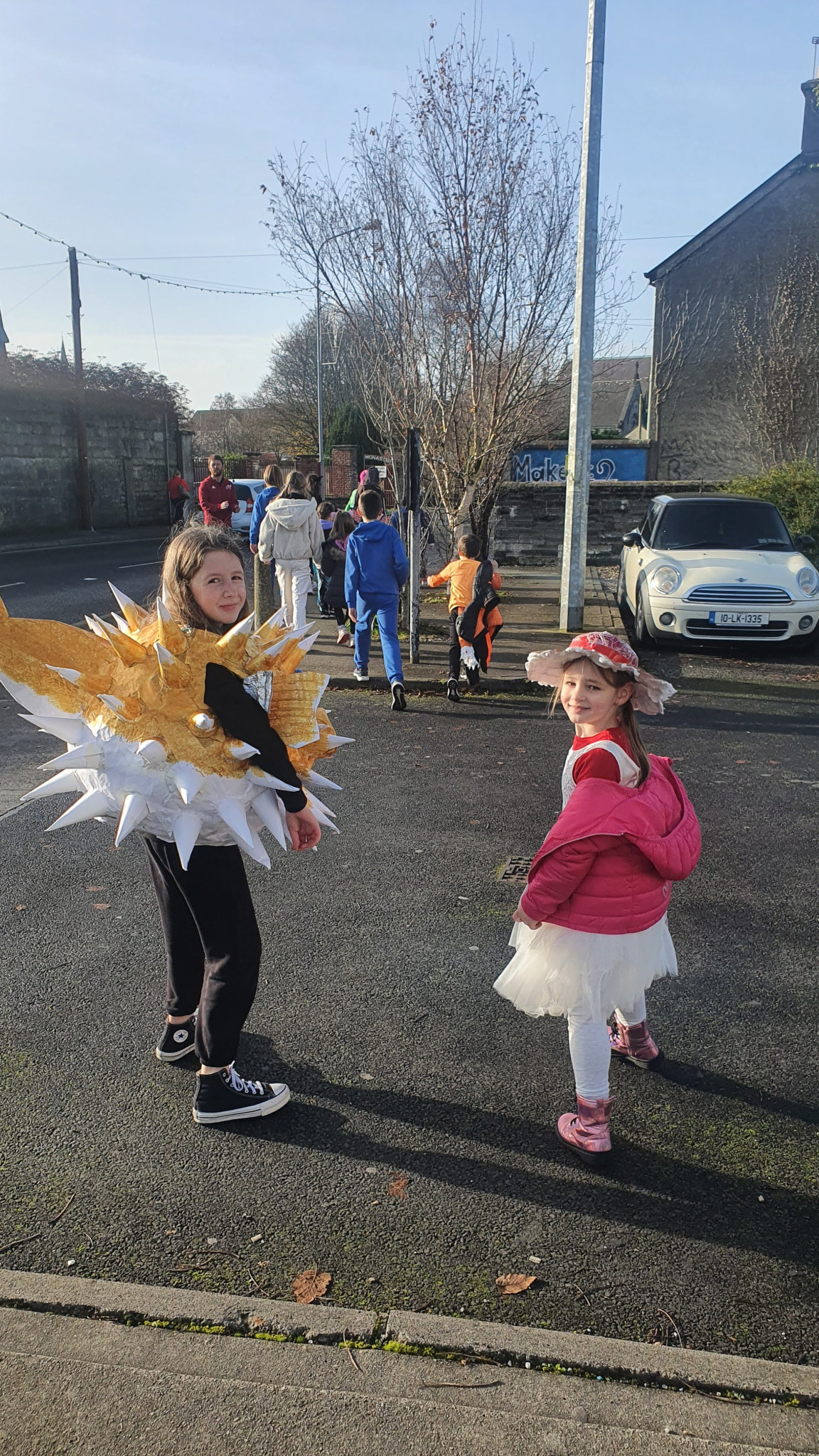 Green Schools - CBS Primary School Ennis